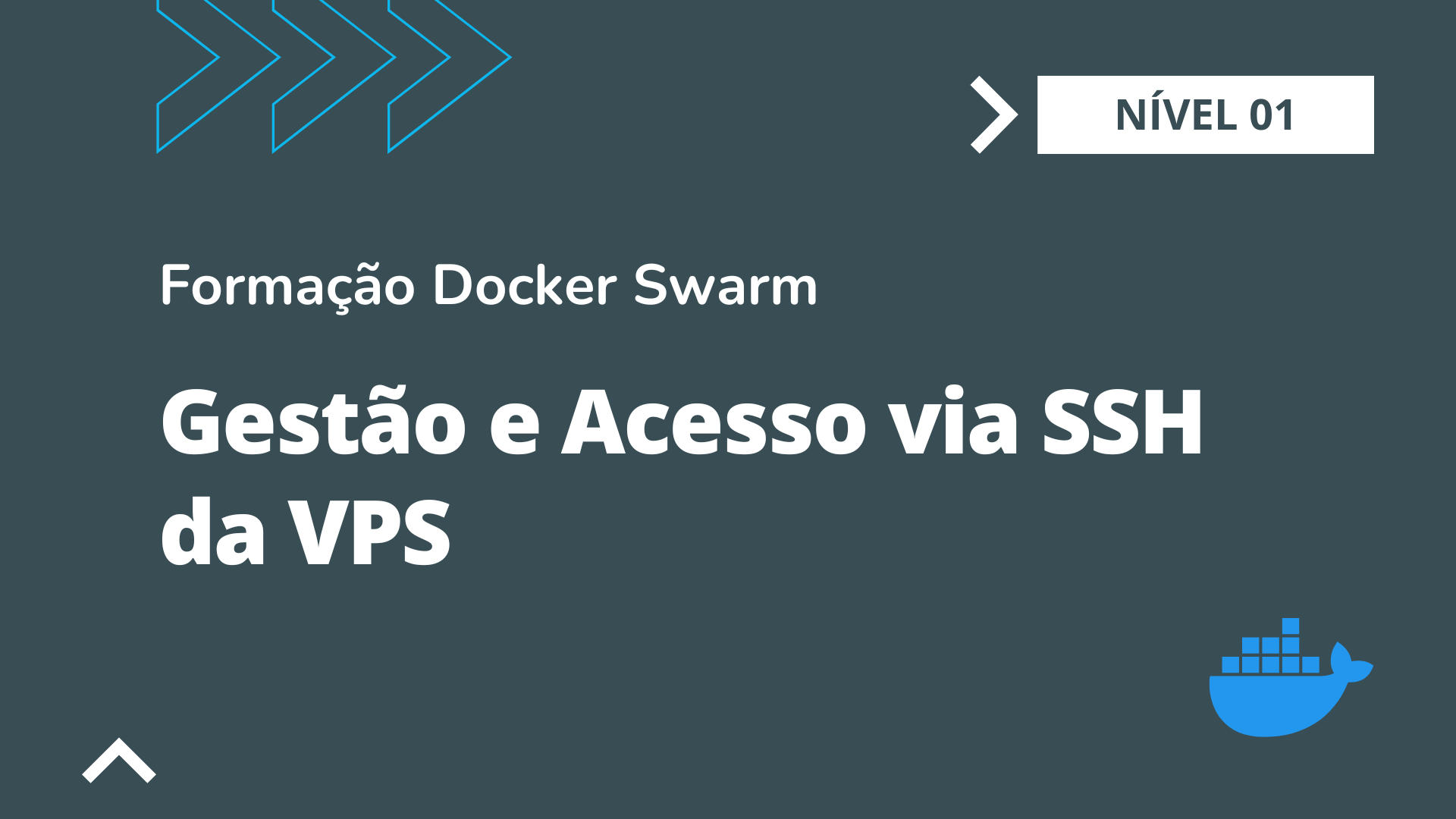 Curso Gestão e Acesso via SSH da VPS (DNS105) - Promovaweb
