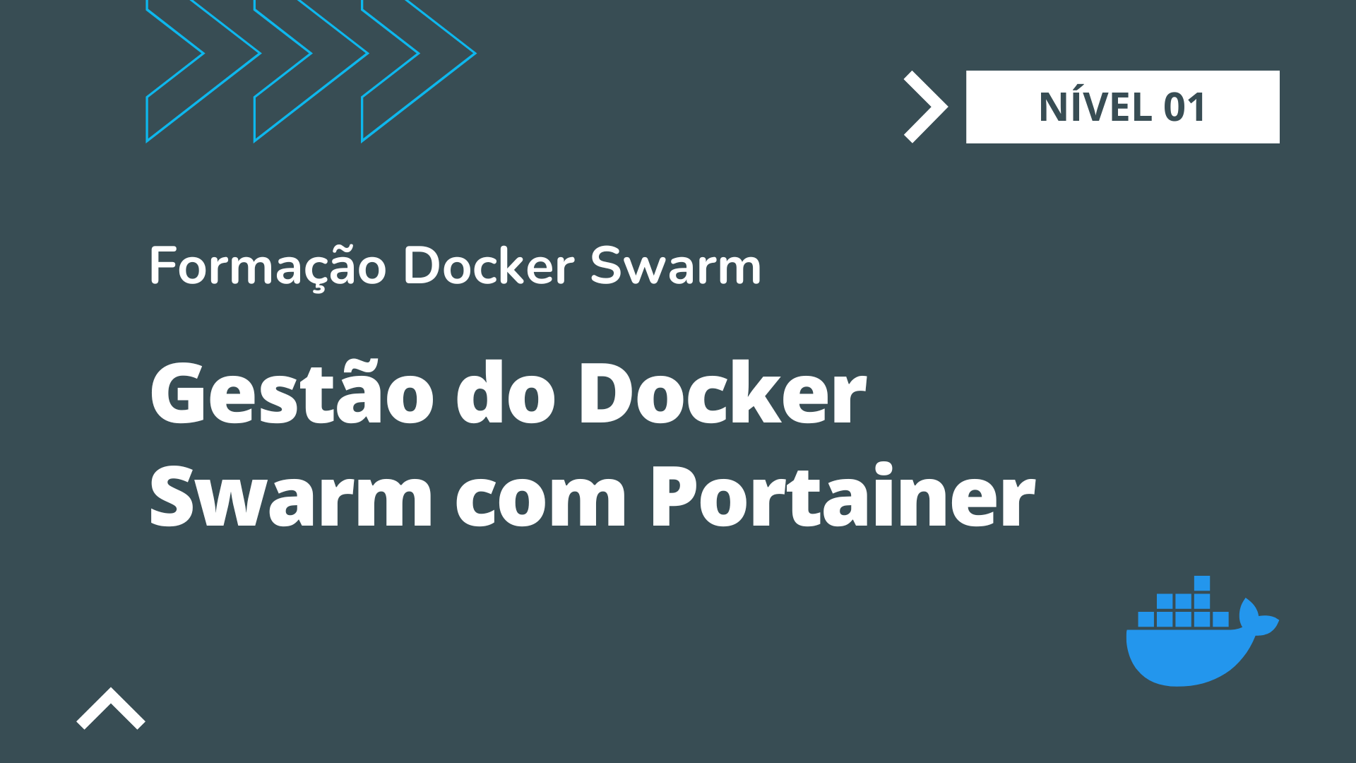 Curso Gestão do Docker Swarm com Portainer (DSN109) - Promovaweb