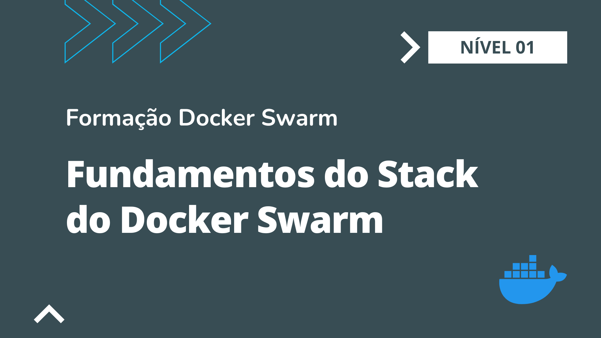Curso Fundamentos do Stack do Docker Swarm (DSN110) - Promovaweb